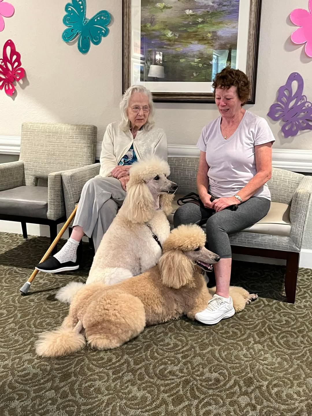 Therapy Dog Outing - Sit N Stay Dog Academy